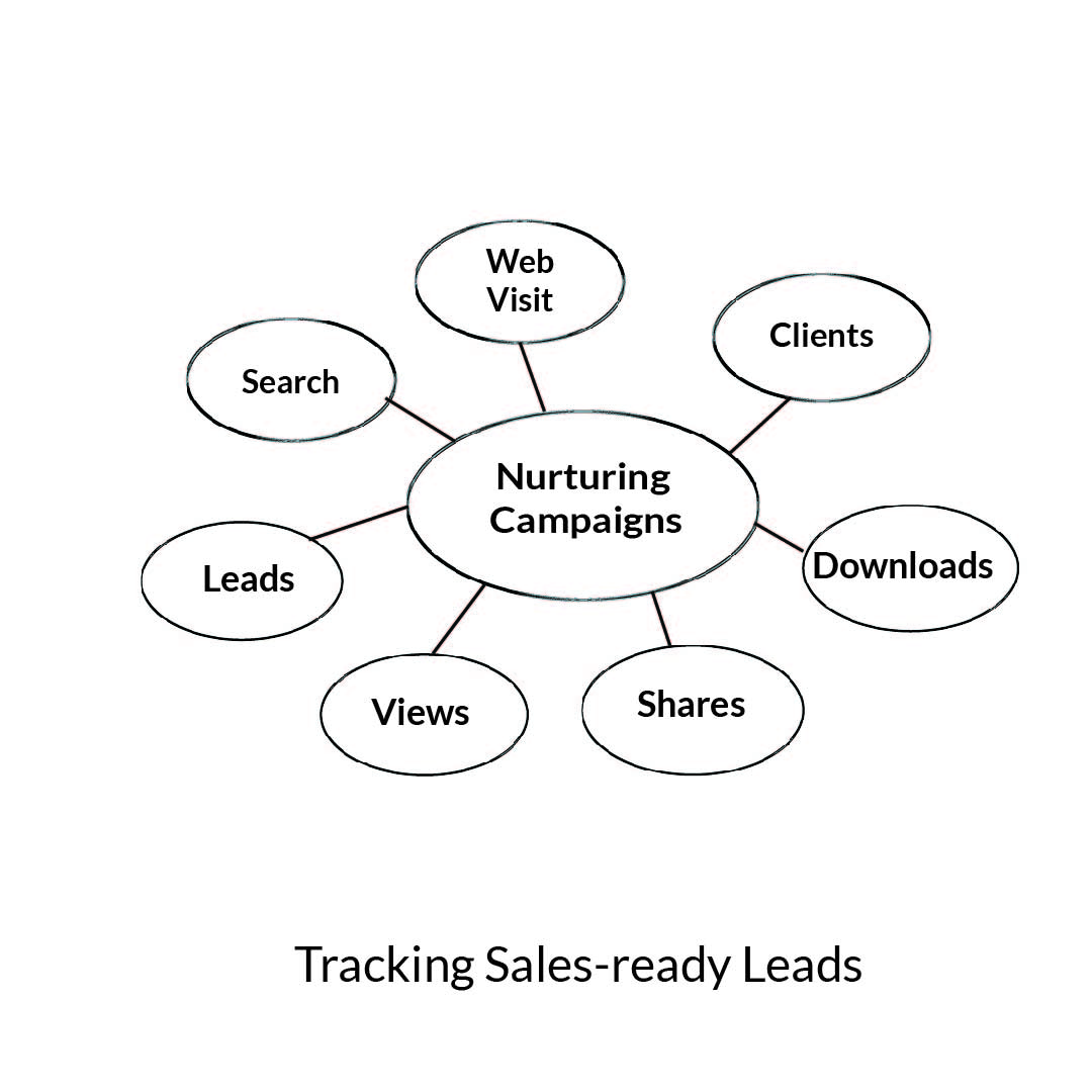 Everything You Need to Know About the Best Lead Management System